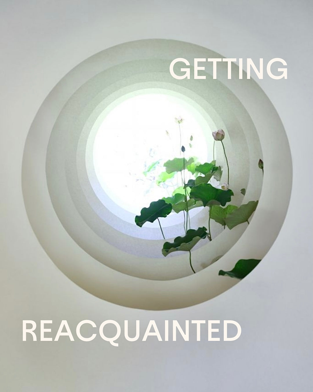 Getting Reacquainted – Crown Affair