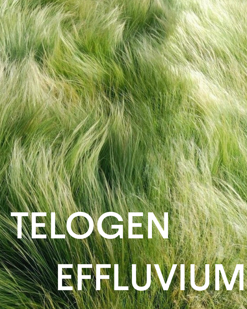 What is Telogen Effluvium? – Crown Affair