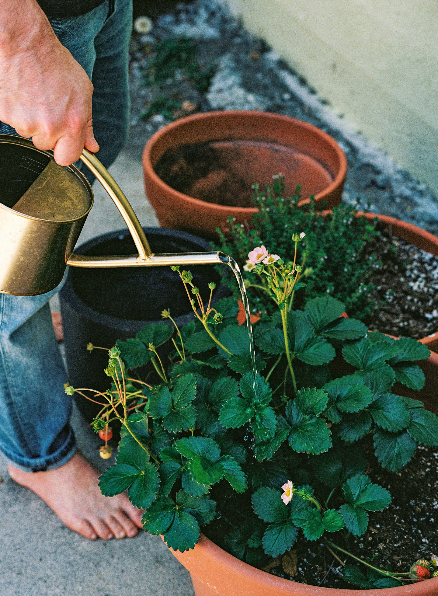 Good People: Jayme Cyk & Ben Rabb – Crown Affair